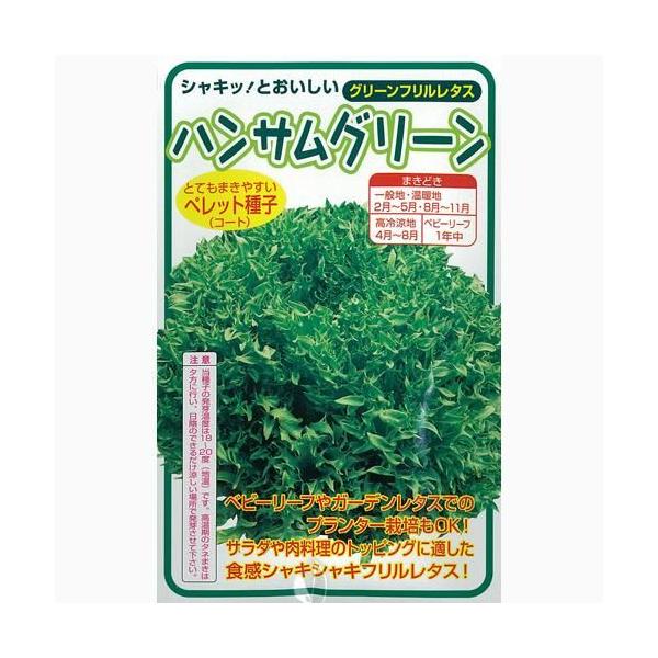 ■この商品はメール便不可です。宅配便でのお届けとなります。