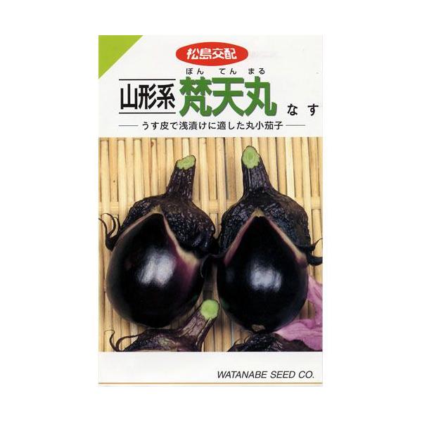 ■容量は季節により変更となる場合がございますが、価格に変更はございません。 メール便で10袋まで同梱できます。