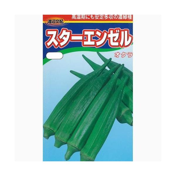 ■容量は季節により変更となる場合がございますが、価格に変更はございません。 メール便で10袋まで同梱できます。