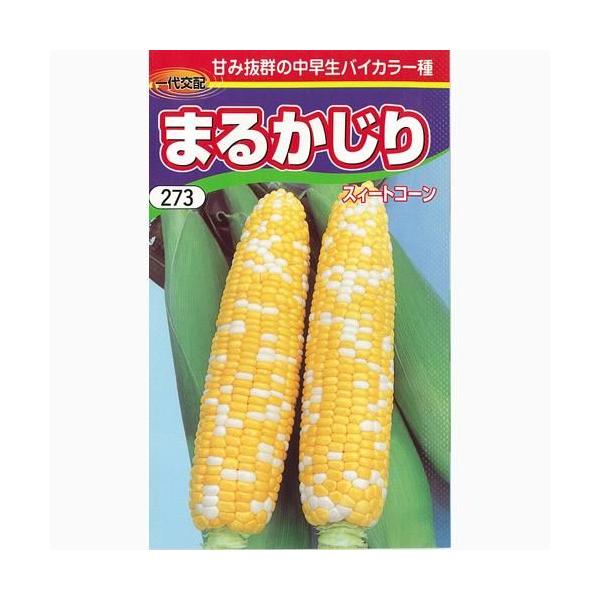■この商品はメール便不可です。宅配便でのお届けとなります。
