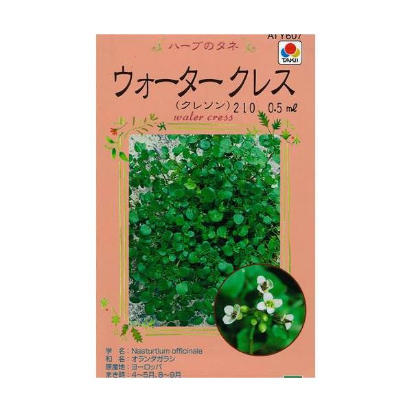 ■容量は季節により変更となる場合がございますが、価格に変更はございません。 メール便で10袋まで同梱できます。