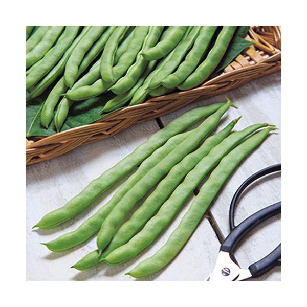 ■容量は季節により変更となる場合がございますが、価格に変更はございません。 メール便で10袋まで同梱できます。