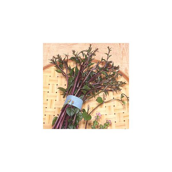 東南アジア、中国などでは広く栽培され、炒め物やスープの具材に広く利用され、沖縄でも島野菜のひとつとしておひたしや「ジューシー」の薬味に用いられてきました。　沖縄以外でも栄養価が高いことと、独特のヌメリが食欲の減退する夏の副菜にと人気が出てき...