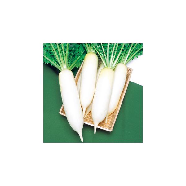 つくりやすい短形ダイコン三季どりができて、煮ても、生でもきめ細やかな肉質で美味！   <Font size="4" ■容量は季節により変更となる場合がございますが、価格に変更はございません。 メール便で10袋まで同梱できます。