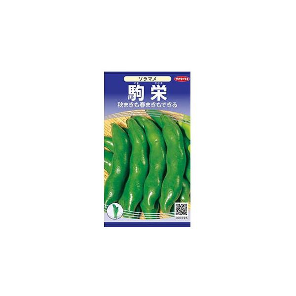 花芽分化に低温が不要な品種なので、春まきもできます。草丈は低めで、分枝が少ないのが特徴。莢は長めで3粒莢が中心です。