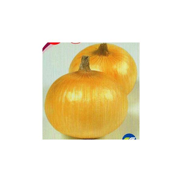柔らかく、ジューシーな玉ねぎ。サラダにぴったり!セット球栽培できます。!※セット球とは・・・5月に収穫した小玉ねぎを夏に植え付け、冬に収穫する栽培方です。 ■容量は季節により変更となる場合がございますが、価格に変更はございません。 メール便...