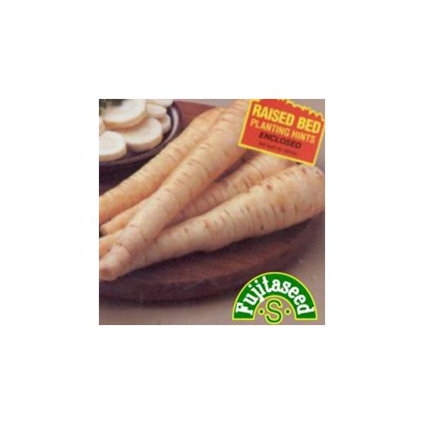 独特の甘い風味があり、煮食やスープの風味付けに利用します。和名では「鎌倉人参」・「白人参」とも呼ばれます。一見、大根に似た太い基部、紫紅色を帯びた茎に、人参の葉を荒くしたような葉をつけます。利用する根は乳白色で、人参に似た香味があります。煮...