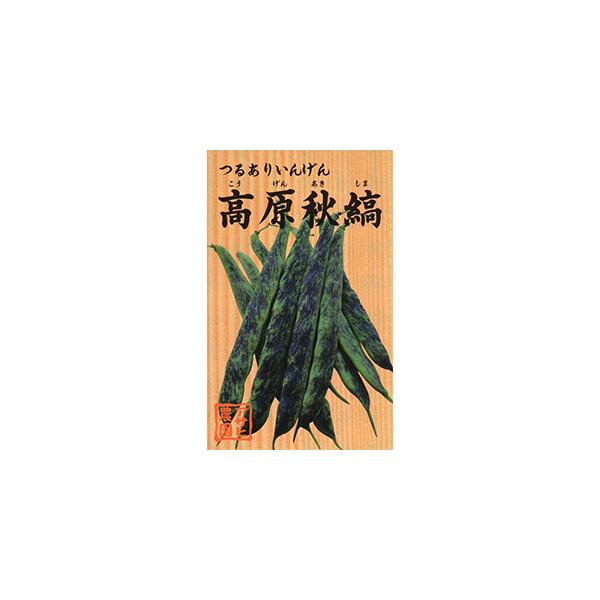 播種後55日位から収穫できます。紫色の縞模様が鮮やかな、15cm位の平莢いんげんです。