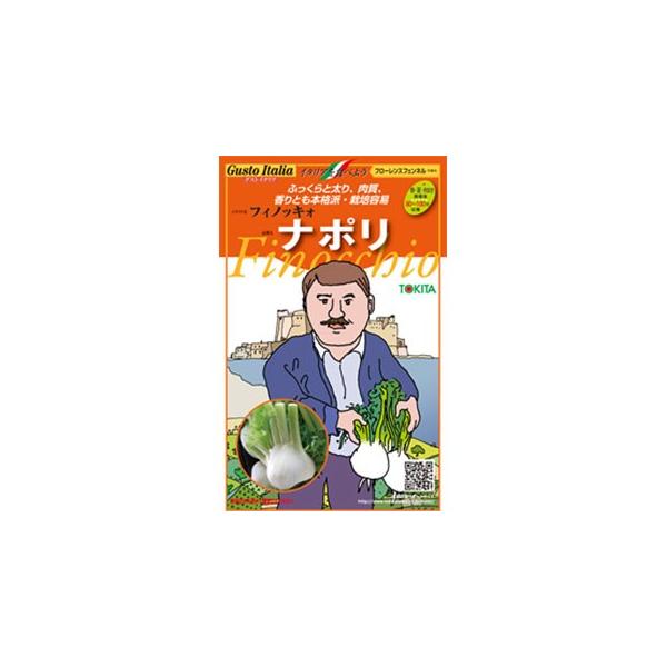 【特性】香り高く、塊茎色も白くきれいな中早生。 季節を問わず作りやすく良く太る。痩せた土地でも比較的作り易い収穫サイズは300g目安。最盛期には500gの大きい株が収穫できるが、裂球に注意が必要。【栽培上の注意】芽適温は15〜20℃位で1週...