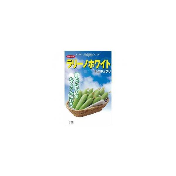 果皮がさわやかな薄い緑色のミニキュウリ。プランター栽培もできます。 ■容量は季節により変更となる場合がございますが、価格に変更はございません。 メール便で10袋まで同梱できます。
