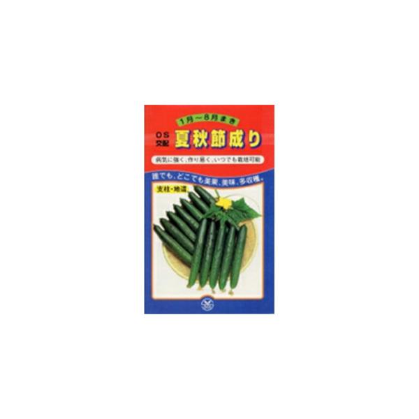 早生の豊産種で、草勢強く栽培は極めて容易ですから、家庭菜園にも好適の優良種です。　果は濃緑色、長さ20cm内外で良く揃い、又収穫後の変色も遅いので長期間新鮮みがあります。苦味なく、歯切れのよい食味は生食、漬物に最適です。