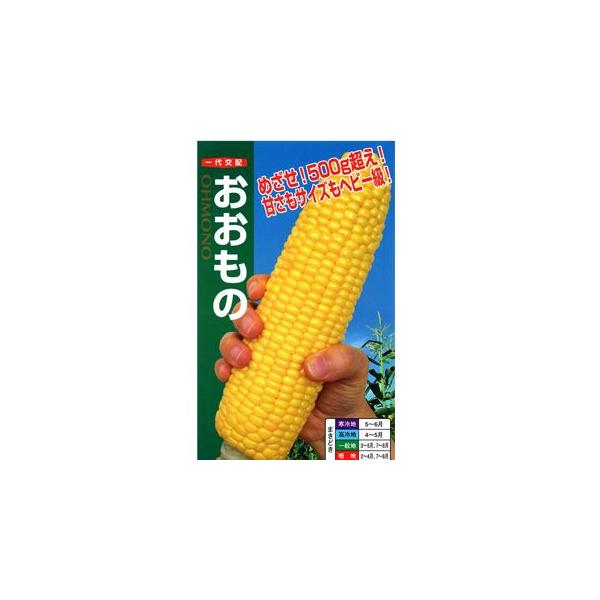 糖度は最高レベルで20度を軽く超え、とっても甘い！1本あたり皮付総重は400〜500g、長さ22〜24cmとジャンボサイズになる品種。タネまき後88日前後で収穫できる中晩生種。 先端まで実が詰まり、粒は薄皮で柔らかく、生でも美味しい。草丈は...