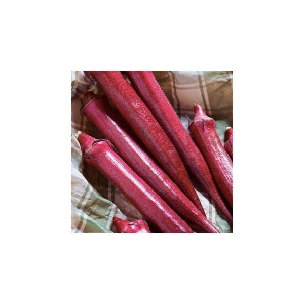 早く収穫でき、生育初期からたくさんとれる赤色丸莢オクラ。大莢になってもやわらかで、スジが入りにくく、味・食感ともによい。料理の彩りには生で、普通の濃緑色オクラとして利用する場合は加熱する。