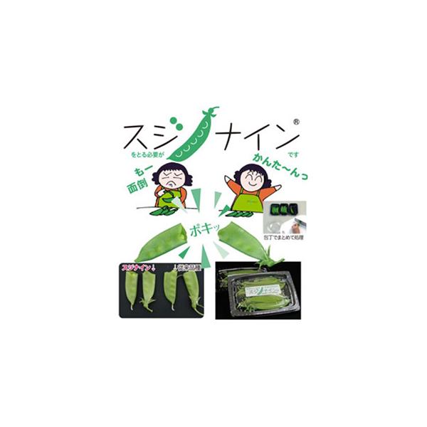スジ取りの手間がいらない絹さやえんどう。食味は甘みもあり美味しい。