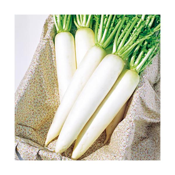 ■容量は季節により変更となる場合がございますが、価格に変更はございません。 メール便で10袋まで同梱できます。