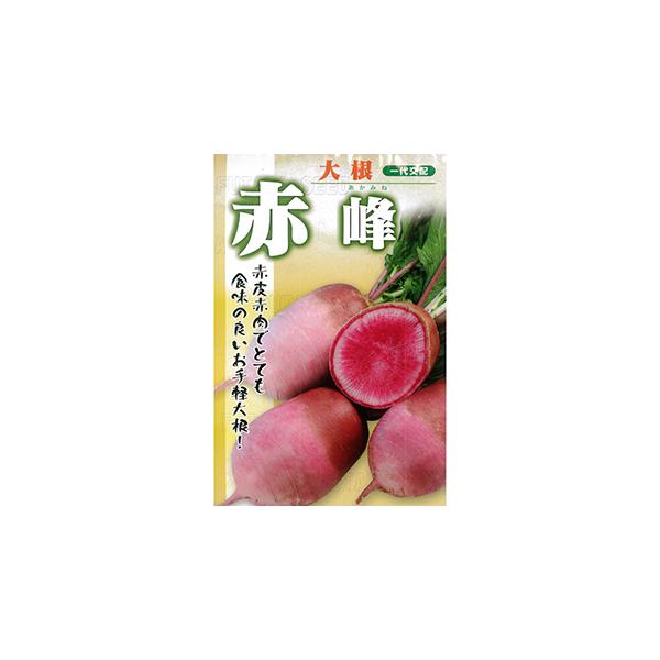 【特性】　　外皮、切り口とも鮮やかな赤紫色で、　ほのかな甘みと辛みがあり　食味を重視したおいしい大根。　根重５００〜８００ｇの使い切りサイズ。　根重６００ｇの場合、根長約１２ｃｍ、　根径約１０ｃｍの楕円形になる。　葉は板葉で葉大根としても利...