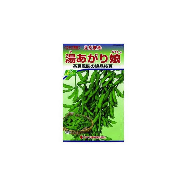 トンネルから露地まで幅広い作型に適する中早生品種。 茶豆特有の芳香を持ち、食味の良さに最も影響を及ぼすショ糖含有量の多い食味抜群！ 毛茸は白く、ゆであがった莢・子実色は鮮やかな緑色で、市場性の高い。 3粒莢率の高い多収品種で、機械収穫時の作...