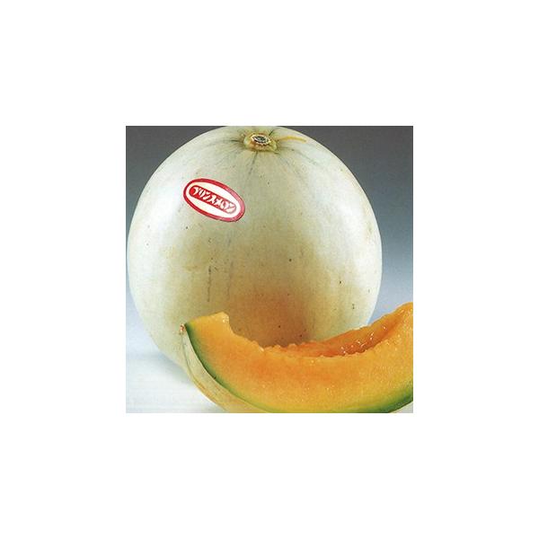 「プリンス」より一回り大きく、やや腰高で肌のきれいな果実です。　草勢が強く、うどんこ病やつる割病に耐病性があるので、長期にわたって果実をとるのに向きます。