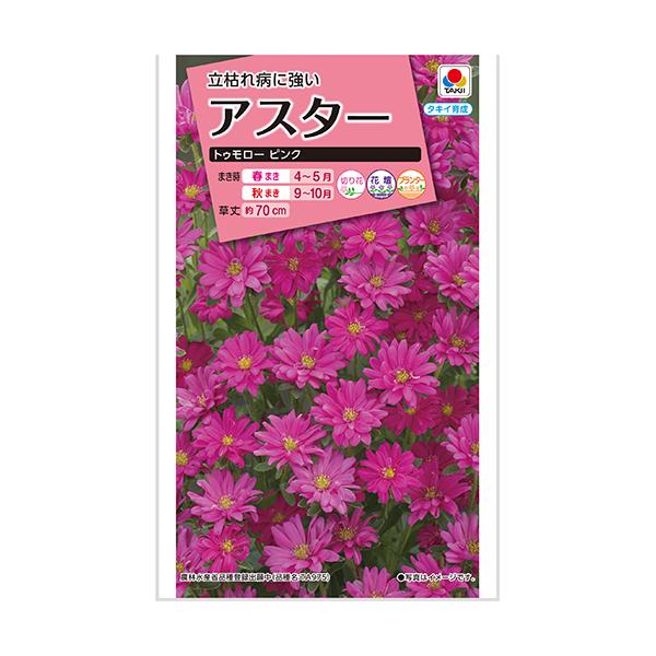 【アレンジアスター・トゥモロー系】　アレンジメントにおすすめの花径2〜3cmの小輪半八重品種の早生タイプ。　草丈が確保しやすく、ピンチなしの1本仕立てに向き、頂点で花がまとまる。　株元での分枝が少なく、密植栽培にも向く。立枯病（フザリウム）...