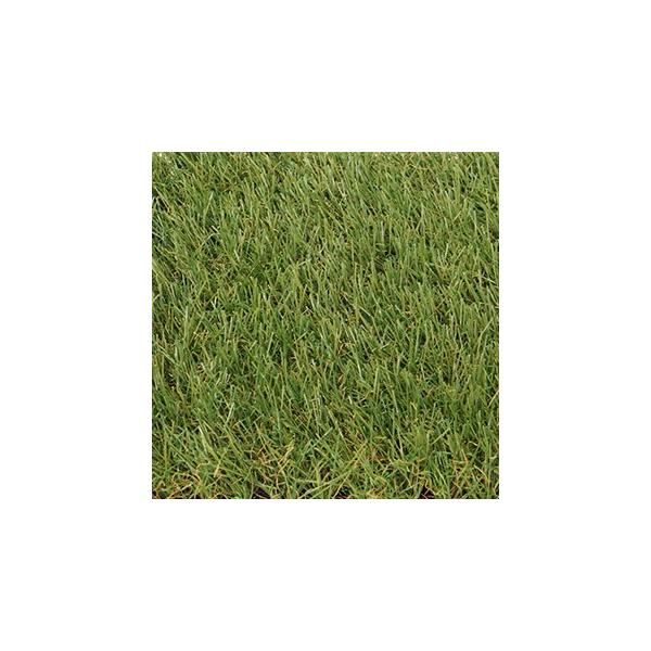 色味の深いナチュラルグリーン、つや消しタイプ　使用する場所の大きさに合わせてカッターやハサミで簡単にカットが出来ます。　　優れた排水性。10cm間隔に配置された水抜き孔で　水はけを良好に保ち、コケやカビの発生を防ぎます。　　色と形状の違う2...