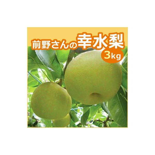 三重県の梨どころ津市久居。その中でも前野さんは有機質肥料で栽培し、梨そのものの味を出すことに努めています。「梨がもつおいしさを引き出すサポートをしています。」と前野さん。果汁したたるもぎたて梨をぜひギフトにご利用ください。※北海道・沖縄・離...