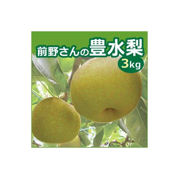 三重県の梨どころ津市久居。その中でも前野さんは有機質肥料で栽培し、梨そのものの味を出すことに努めています。「梨がもつおいしさを引き出すサポートをしています。」と前野さん。果汁したたるもぎたて梨をぜひギフトにご利用ください。※北海道・沖縄・離...