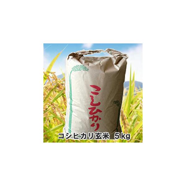 契約農家さんが心を込めて作った極上のコシヒカリ玄米が今年も出ました! おうちご飯や毎日のお弁当、夜食のおにぎりにと私たちの生活に欠かせない保存に便利なコシヒカリ玄米です。ぜひ、ご家族でご賞味ください!※こちらは白米ではございません。ご了承い...