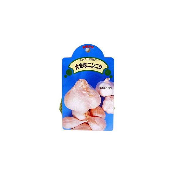 臭いも辛味もマイルドなので、食べやすい品種です。　プランターでも簡単につくれて、スタミナ栄養たっぷり!■お届けは８月中旬以降の予定です。※お届けはご予約時点での予定です。 作物の生育状況や気象条件などにより前後することがあります。 お届け予...
