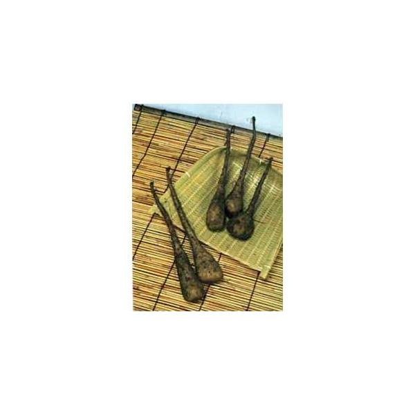 品種名：短形自然薯(じねんじょ) 特徴：自然薯の高い栄養価はそのままに、粘りとアクを少なめにして食べやすくしました!  ※より詳しい品種の詳細についてはPC版でご覧ください   商品内容：種芋 5本入り   *商品は生ものです。  粒同士の...