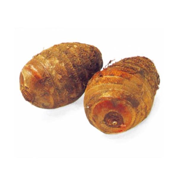 収量多く、親芋・子芋ともに大きい。 ぬめりがやや少なく肉質はしっかりめで煮崩れしにくいので、おでんや含め煮に向いています。  容量：500g（3〜5個）  ■この商品はメール便不可です。宅配便でのお届けとなります。