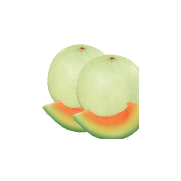 予約販売：4月以降発送 品種名：プリンスメロン 商品内容：接木苗 4本セット <br>果実は500〜600g、ほぼ正円球で灰白色。