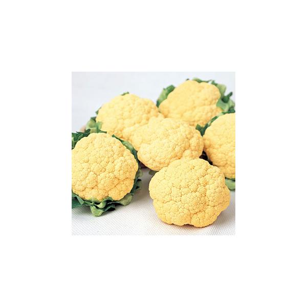 収量性が高い品種。みずみずしく食味良く、生食も可能。定植後65日収穫。