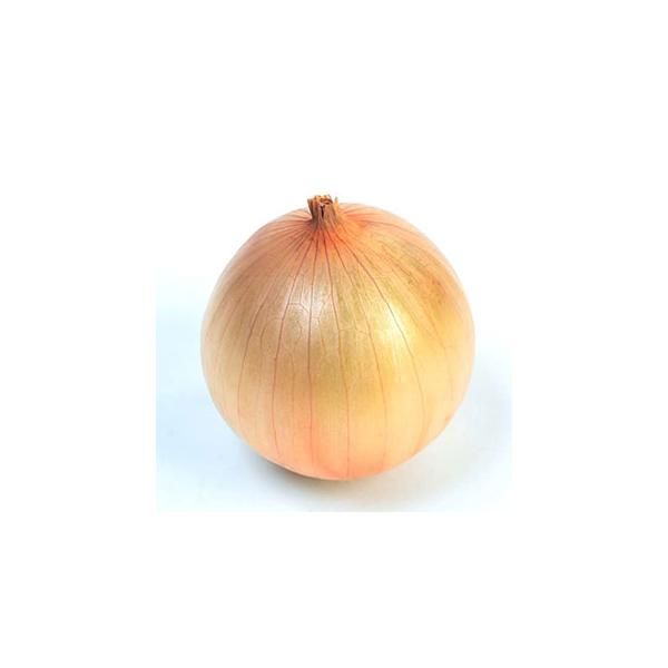 ●早どりできる早生種です。●球重は約300gです。●歯切れよくみずみずしい、おいしいタマネギです。●8月末まで貯蔵可能です。 ■この商品はメール便不可です。宅配便でのお届けとなります。【ご予約前にご確認ください】当商品は生物につき、天候・作...