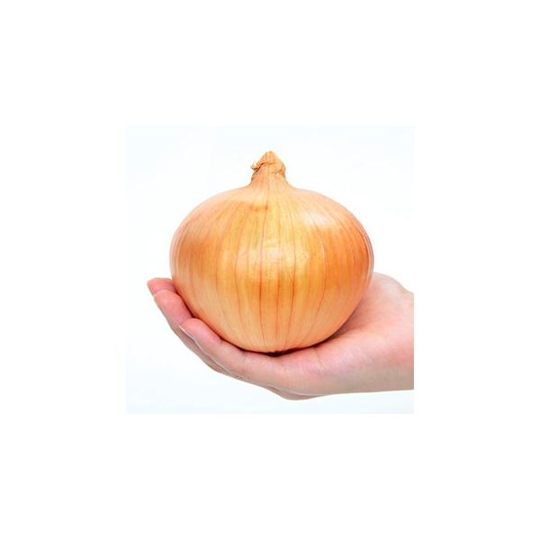 ●病気に強く貯蔵性に優れて、歯切れよく甘みの強いタマネギです。●球重は約350gです。●太りよくたくさんとれて、3月末まで貯蔵ができます。●年明け3月末まで貯蔵可能です。■この商品はメール便不可です。宅配便でのお届けとなります。【ご予約前に...