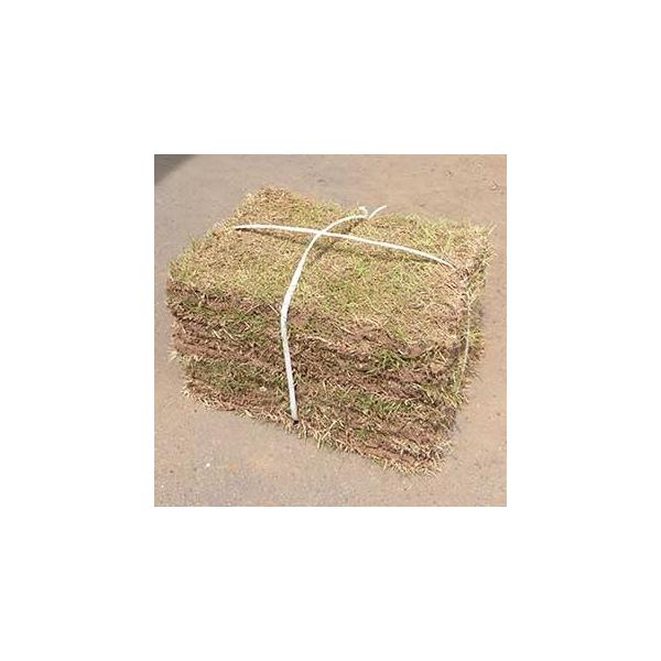 1束（約30cm×約38cm　9枚入）1平米分水やり 夏場は最低でも週に1回はしっかり水やりをしましょう。 芝刈り 夏場は半月〜１ヶ月に1回程度、芝刈りを行います。芝の長さが2cmになるように揃えると良いです。 施肥 春〜夏にかけて、２ヶ月...