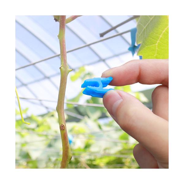 遠くからでも見つけやすいビビッドカラー。柔らかい「軟質ポリオレフィン樹脂」を使用して植物にやさしく、しっかり固定。保持部の内側にガイド（リブ）があり、装着後のズレを軽減。ポケット内でも向きが分かりやすく、取り出してすぐ使える。用途ぶどうのジ...