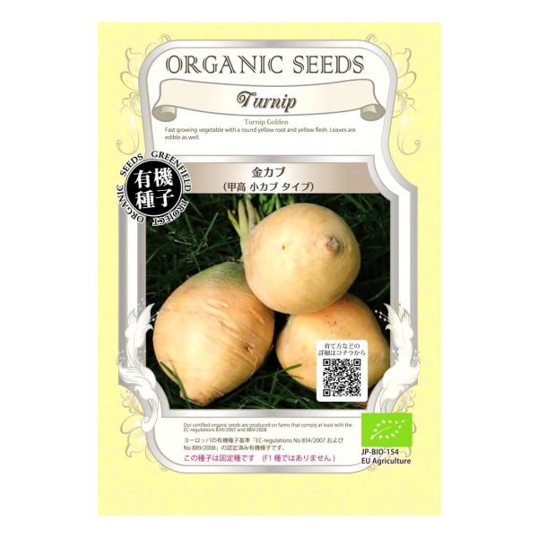春・秋まき可能な黄色い (肉色も黄色) 小カブ大袋サイズもあります葉も美味しくいただけます。種まきから50〜80日が収穫目安です。商品名：  金カブ ＜ 甲高 小カブ タイプ ＞【有機種子】 内容量：  1.80g (粒数目安 1300〜1...