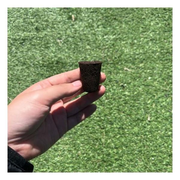 水耕栽培専用の苗です。■メリット　(1)育苗の手間を削減　(2)失敗リスク、機会損失を軽減して成功率アップ■こんな方におすすめ　(1)導入初期　(2)違った品種も試してみたい　(3)バリエーションを増やしたい★人にも環境にも優しいこだわりの...