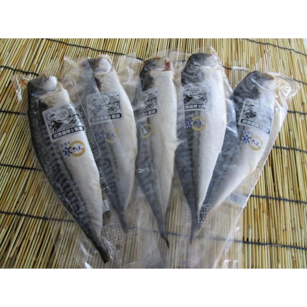 【発売日：2020年11月01日】ノルウェー産の鯖を文化干に仕上げました。たっぷりの脂のりをご堪能ください。