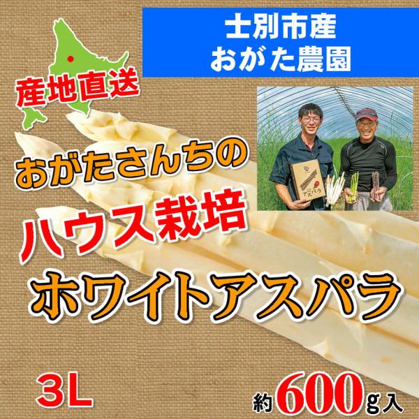 〜〜北海道士別市　おがた農園より〜〜昼夜の寒暖差が激しく美味しいアスパラが育つ！朝採りの新鮮なアスパラを産地直送でお届け致します！D-1 士別産：おがた農園 おがたさんちのハウス栽培ホワイトアスパラ3Lサイズ・約600g入・1箱5月4日より...