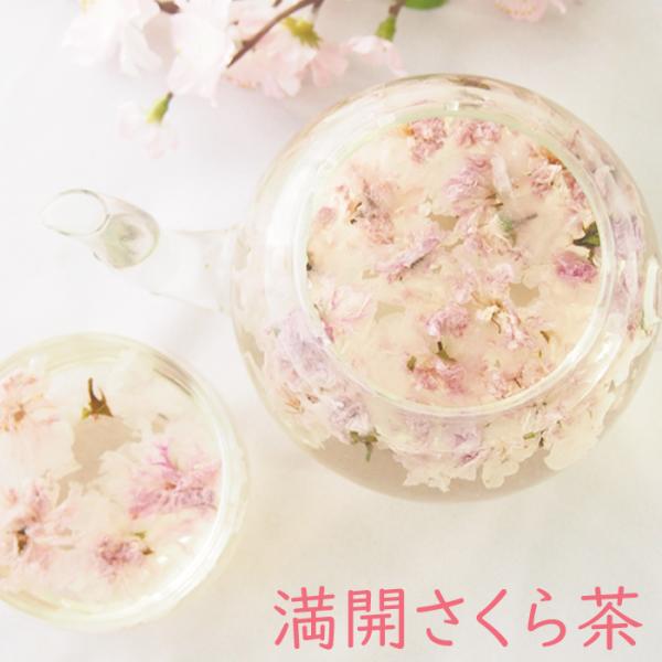 満開さくら茶 ＆ティーポットセット 桜 桜茶 花茶 フラワーティー 工芸茶 春 桜湯 お花見 サプライズ ノンカフェイン商品名：満開さくら茶 ＆ティーポットセット　セット内容：満開さくら茶5玉、ティーポット500ml×1個　お茶原材料：桜花...