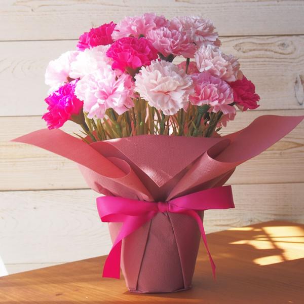 商品名  ソープフラワーカーネーション花鉢1個 ピンク アレンジメント 枯れない鉢植え 鉢花 造花せっけんで出来たお花・ソープフラワー。世話が不要なフラワーギフトとして人気です。せっけんの香りも楽しめる花鉢アレンジメントです。このようなイベ...