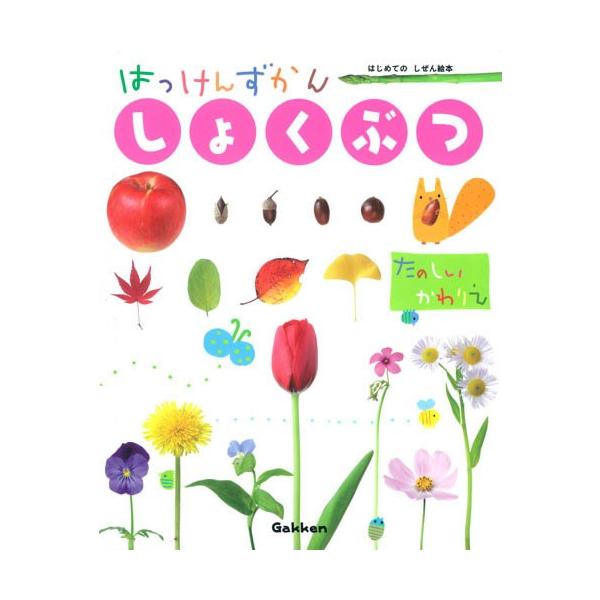 絵： 澤田知恵子 「とびら」を開くと、花の咲き方がわかったり、土の中をのぞけたり…。子どもに身近な植物の生長を、たくさんの仕掛けで分かりやすく紹介。子どもの興味を引き、楽しい「はっけん」ができる絵本図鑑。ちみつな写真ときれいな写真は見応え十...