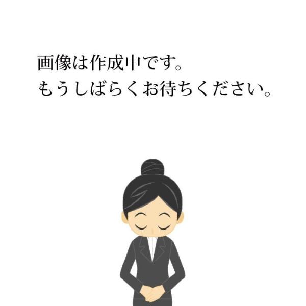 ベンツ 純正 ワイパー glcの人気商品・通販・価格比較 - 価格.com