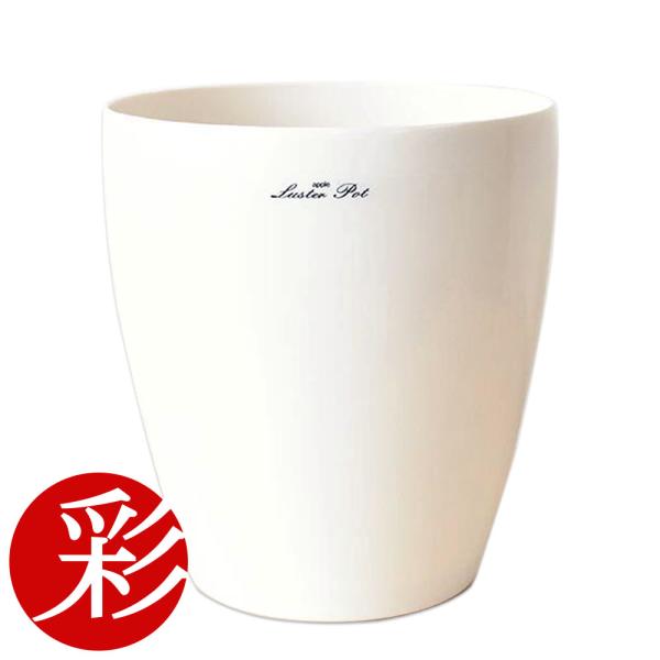 ★☆★☆ご購入前に「配送・送料について」のご案内画像を必ずご確認くださいませ☆★☆★#彩植健美 #さいしょくけんび #saisyokukenbi