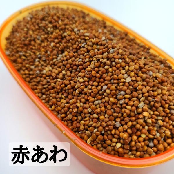 ＝＝卸売りから直接お客様へ一直線に＝＝・製造直売だからこそできるこの価格！！・保存に便利なチャック袋入り！！・簡易パッケージで低価格を追求！！・飼料用です※仕入れロットにより実物とは色味,形が異なる場合が御座います赤粟 アワ インコ フィン...