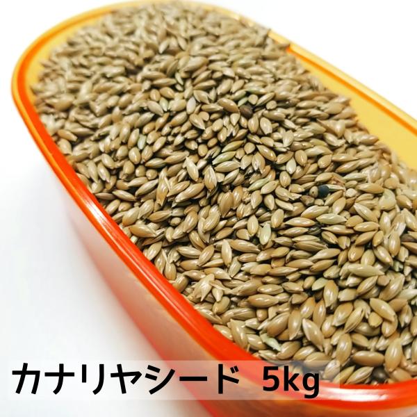 ・製造直売だからこそできるこの価格！！・簡易パッケージで低価格を追求！！・飼料用です。※仕入れロットにより実物とは色味,形が異なる場合が御座います【異物について】飼料のもととなる雑穀類は露地栽培の作物になりますので、どうしても昆虫由来の異物...