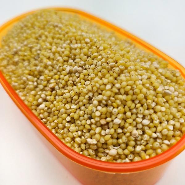 ＝＝卸売りから直接お客様へ一直線に＝＝・製造直売だからこそできるこの価格！！・保存に便利なチャック袋入り！！・簡易パッケージで低価格を追求！！※仕入れロットにより実物とは色味,形が異なる場合が御座いますむききび 黍 剥き黍 小鳥のえさ 小鳥...