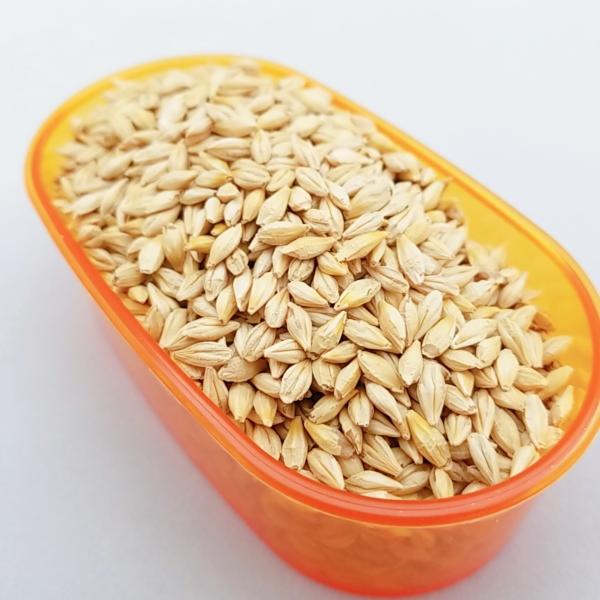 ＝＝卸売りから直接お客様へ一直線に＝＝製造直売だからこそできるこの価格！！簡易パッケージで低価格を追求！※仕入れロットにより実物とは色味,形が異なる場合が御座います飼料用 オオムギ 鳩のえさ 鳩の餌 皮付き大麦 国内産雑穀 インコおやつ オ...