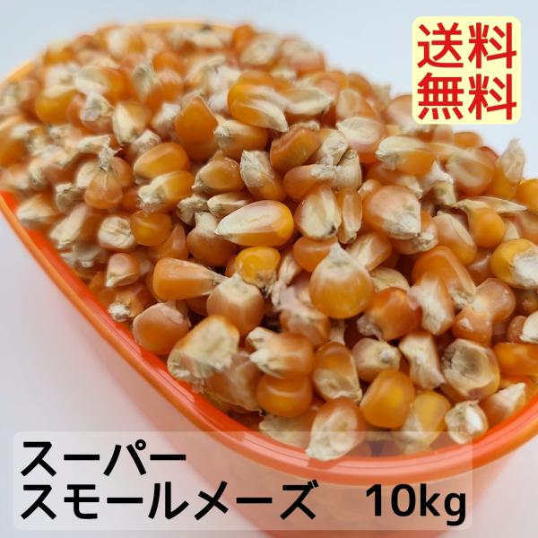 ＝＝卸売りから直接お客様へ一直線に＝＝非遺伝子組み換えのとうもろこし簡易パッケージ(２層紙袋)で低価格を追求！！※仕入れロットにより実物とは色味,形が異なる場合が御座います鳩の餌　小動物の餌　コーン　